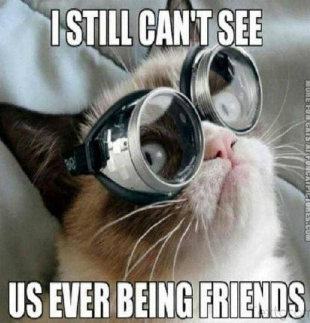 21 Best Grumpy Cat Memes And Funny Quotes About Love And Life Yourtango